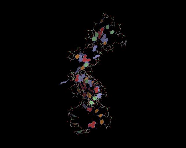 RNAJunction